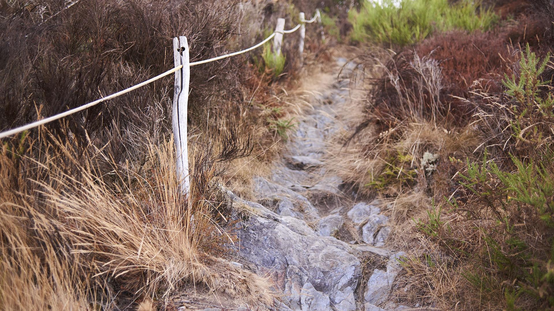 Les Grées | Rochefort-en-Terre Tourisme