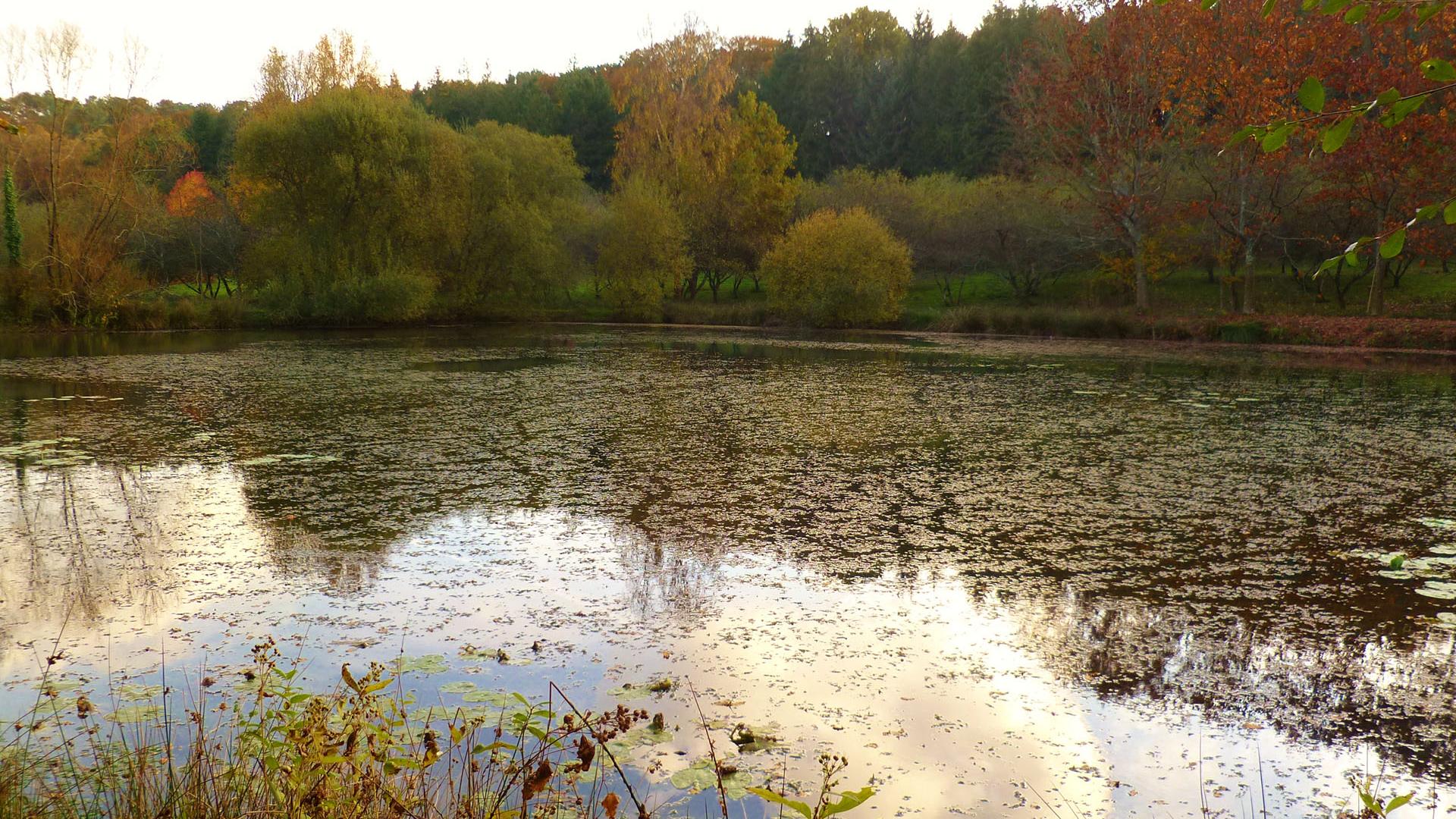 La Vallée de l’Arz | Rochefort-en-Terre Tourisme | Bretagne