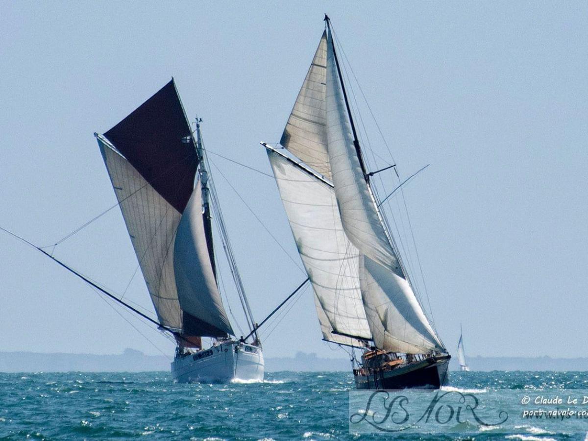 Le Lys Noir | Rochefort-en-Terre Tourisme