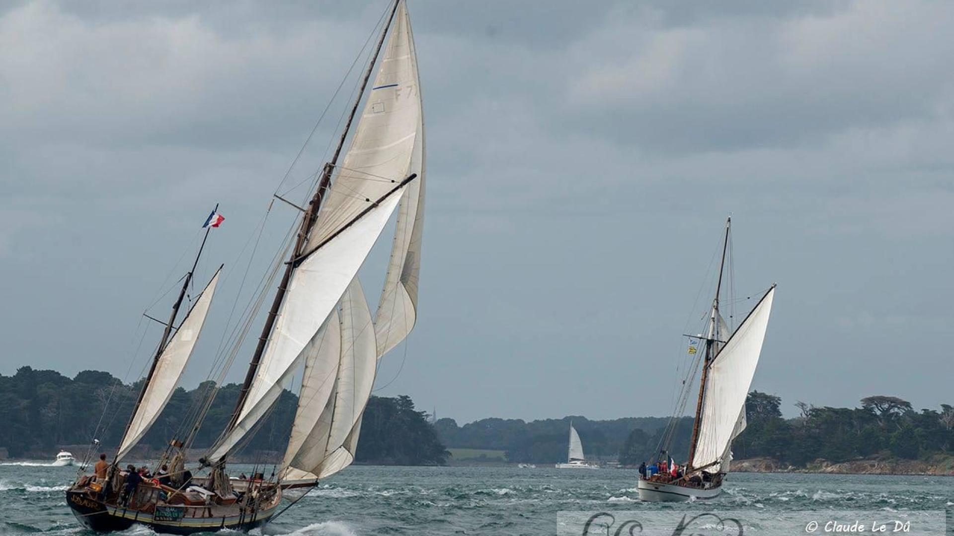 Le Lys Noir | Rochefort-en-Terre Tourisme