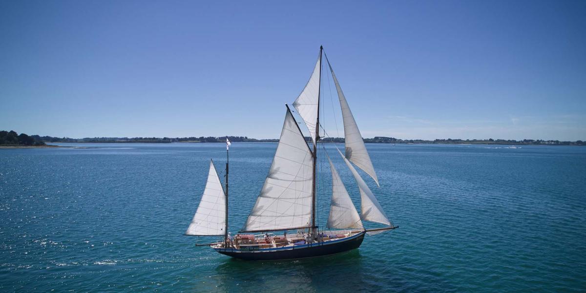 Le Lys Noir | Rochefort-en-Terre Tourisme