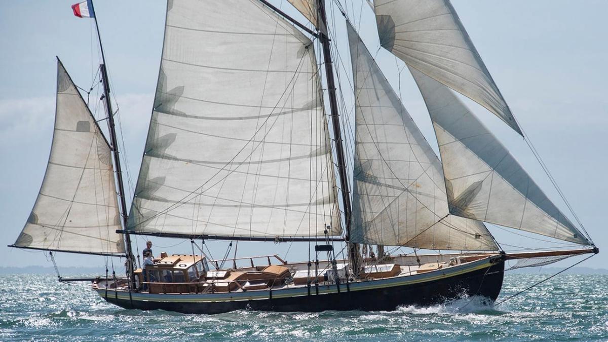 Le Lys Noir | Rochefort-en-Terre Tourisme